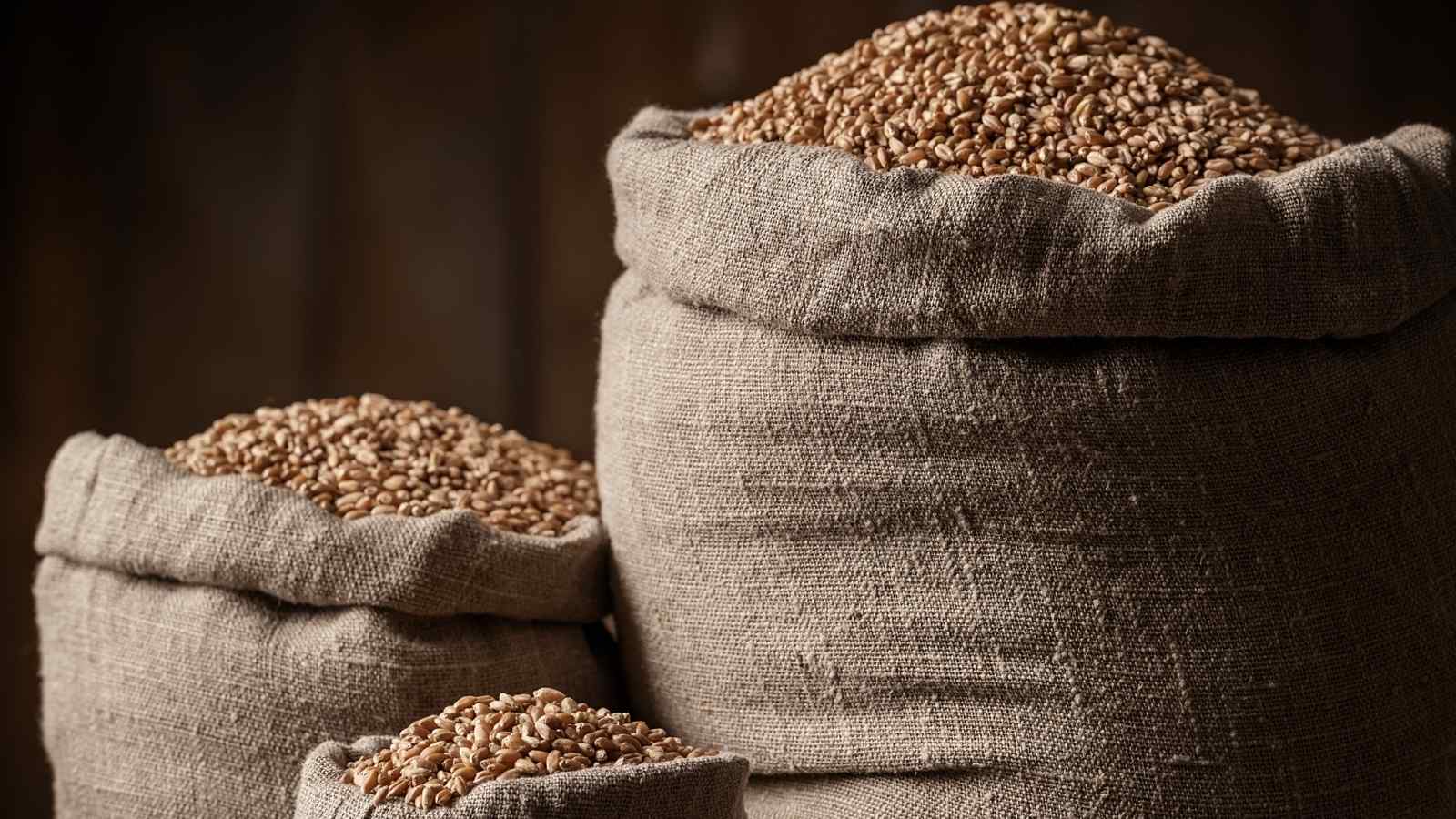 Early Harvest 2025: Promising Yields, Regional Variability & Quality ...